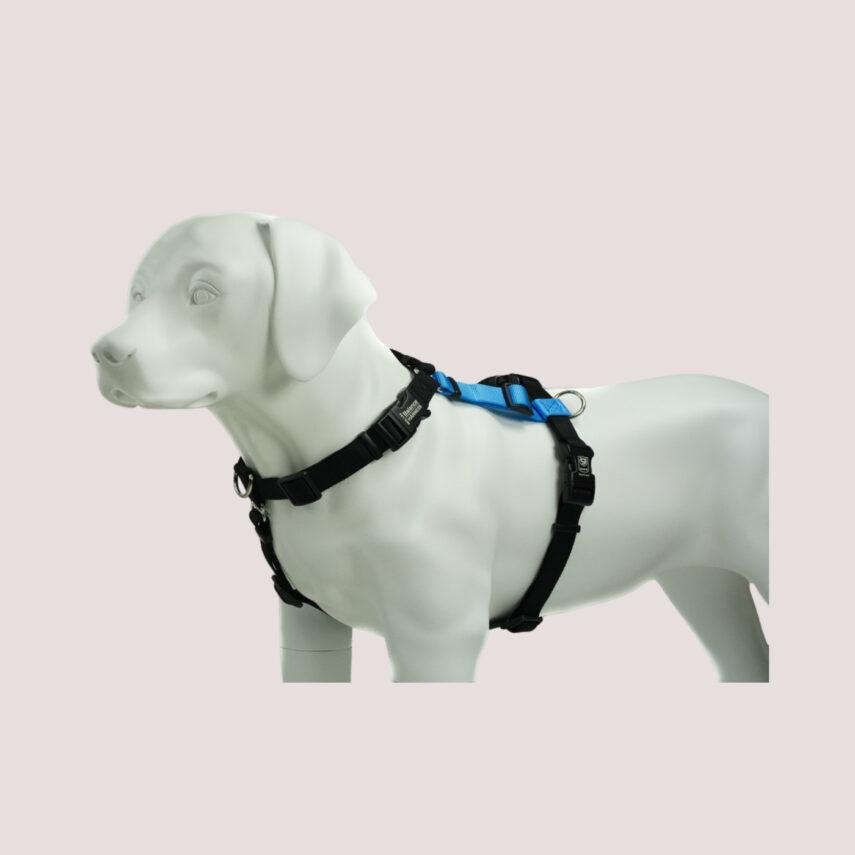Blue-9 Balance Harness Buckle Neck | Healthy Pet Store