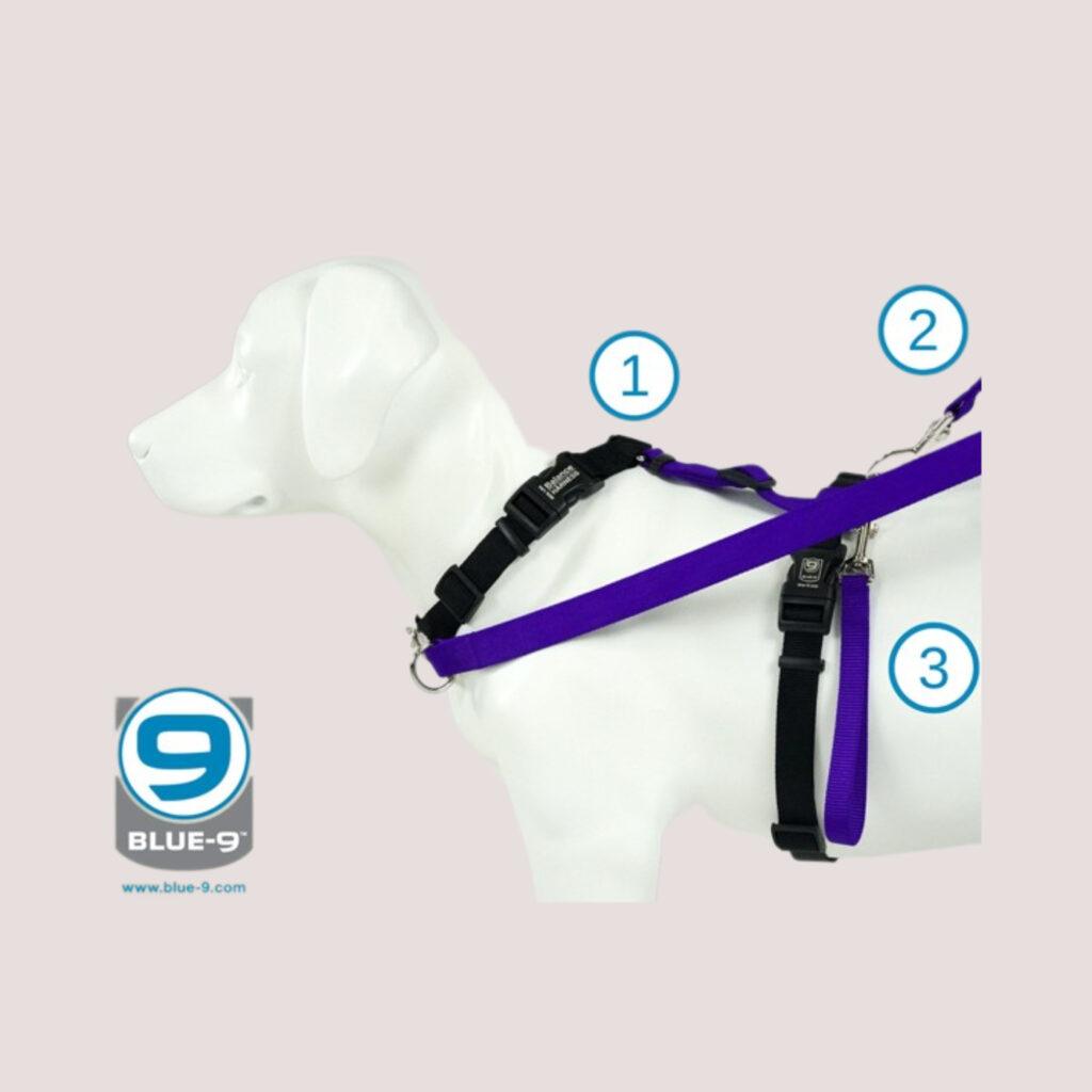 Blue-9 Balance Harness Buckle Neck | Healthy Pet Store