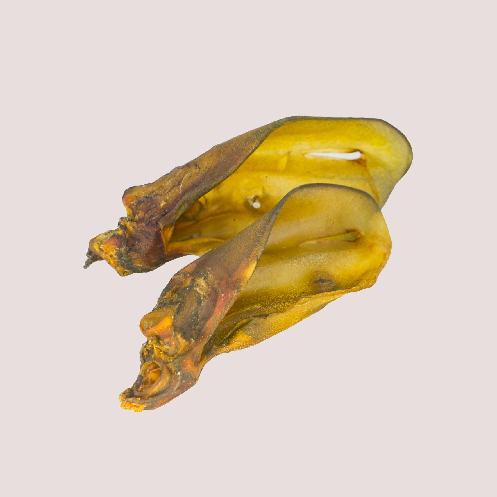 Dried Cow Ear x 1 | Healthy Pet Store