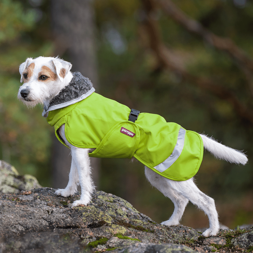 Water Resistant Dog Jacket