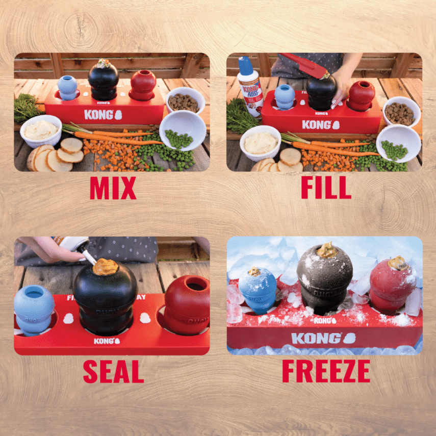 KONG Fill Freeze Tray - Healthy Pet Store